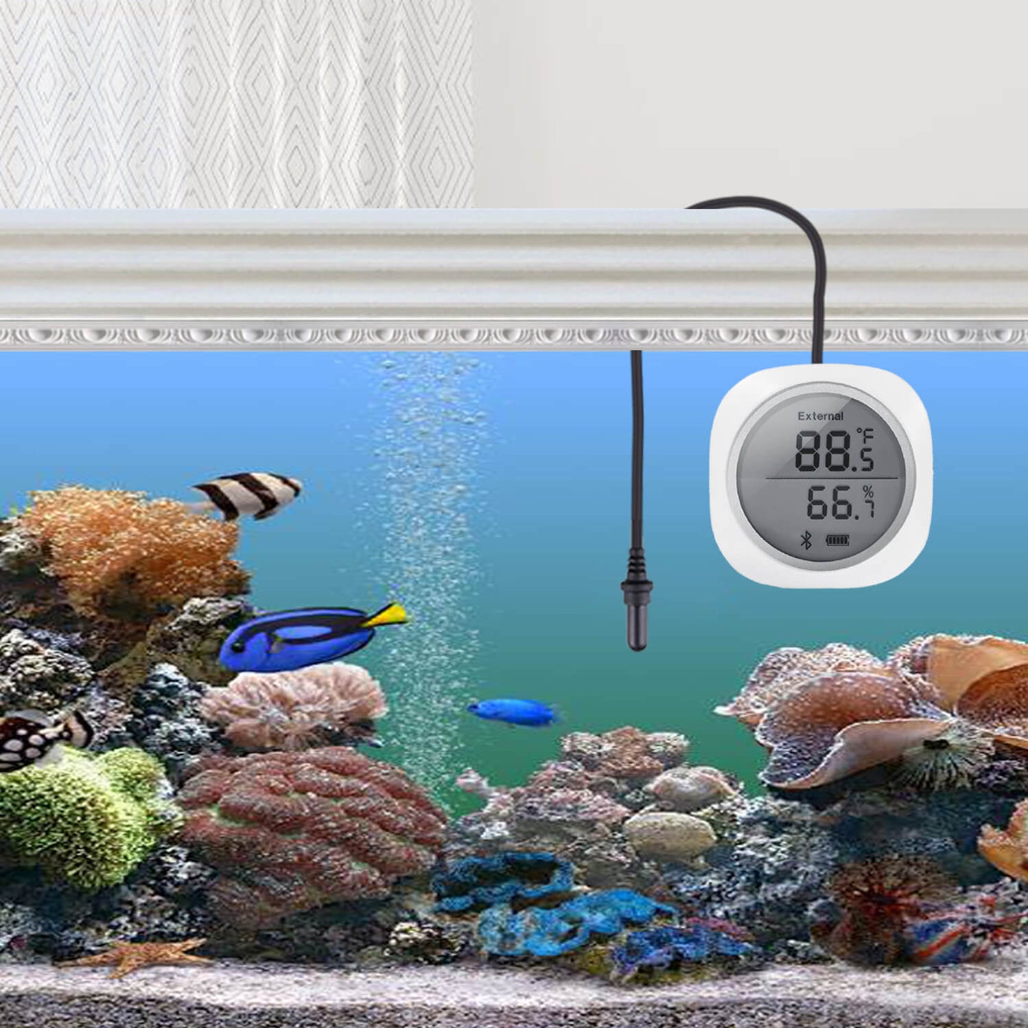 INKBIRD Temperature & Humidity Smart Sensor IBS-TH1 Plus with Aquarium ...